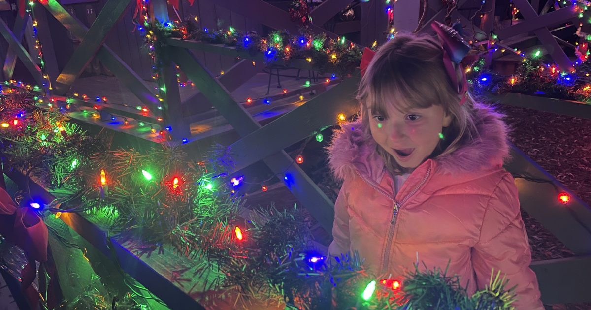 Holiday Lights in Stark County | Visit Canton