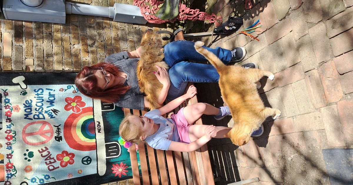 Mad Dogs & Crazy Cats | Visit Canton