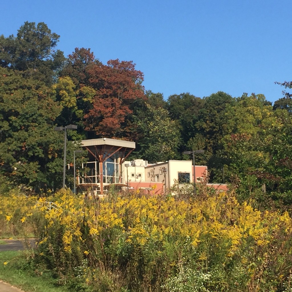 What to Do in Canton, Ohio | Visit Canton