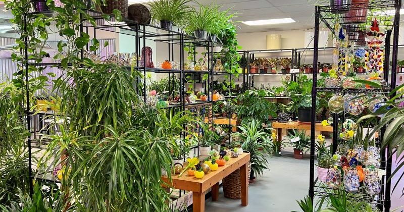 The Glass Garden of Canton | Visit Canton