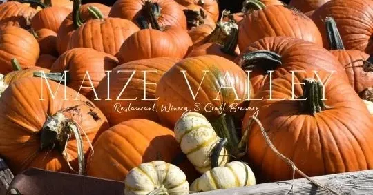 Fall Harvest Festival at Maize Valley | Visit Canton